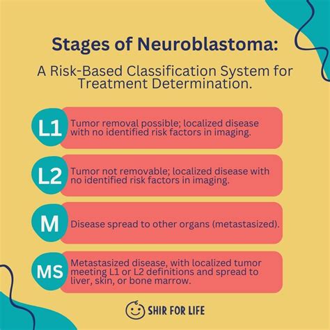 Shir For Life On Linkedin Discover The Stages Of Neuroblastoma And The