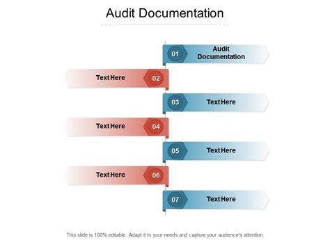 Audit Documentation Ppt Powerpoint Presentation Ideas Background Image Cpb Presentation