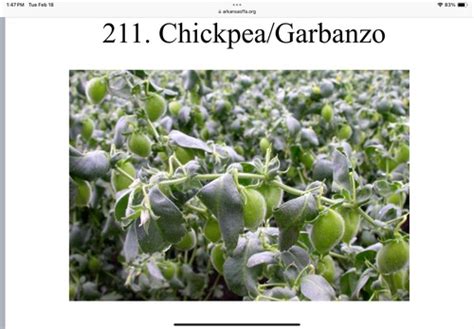 Agronomy Flashcards Quizlet