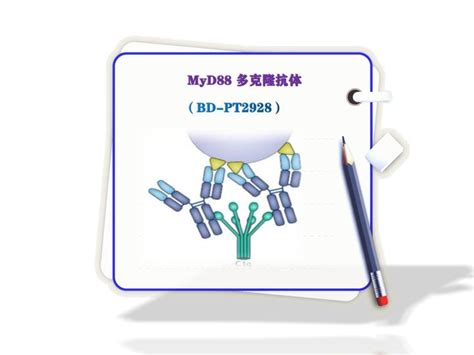 如何利用杂交瘤技术制备单克隆抗体？ 知乎
