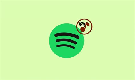 Can You See Your Current Spotify Stats Techcult