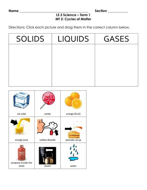 Classification Worksheets Worksheets Library