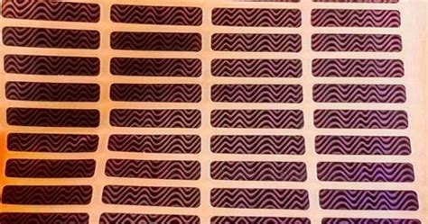 Zebra Scratch Off Label Packaging Type Sheet At ₹ 0 15 Piece In Noida
