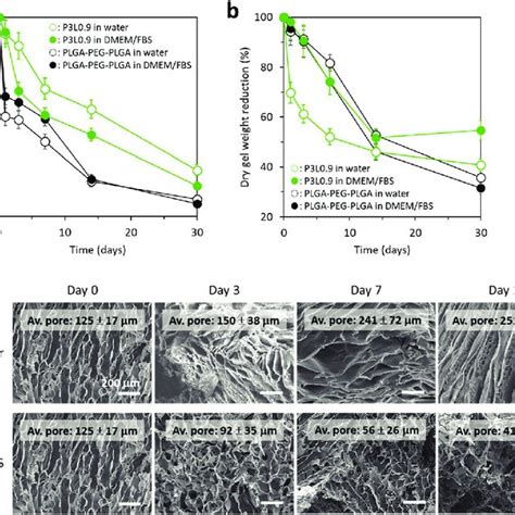 (a) Adsorption profiles of FITC-collagen into the... | Download ...