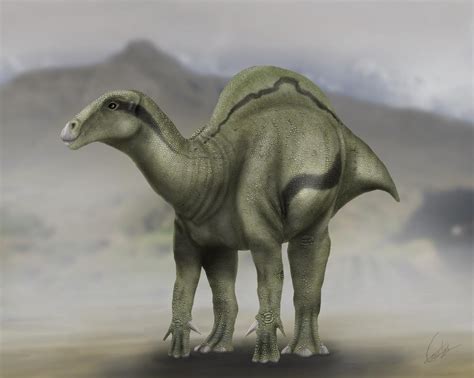Arizonasaurus Fossils