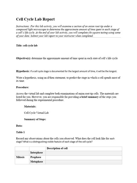 04 05 Cell Cycle Lab Report Pdf Mitosis Chi Squared Test