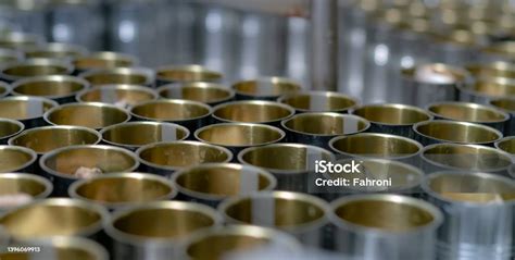 통조림 생선 공장 식품 산업 컨베이어 벨트에 정어리의 많은 캔 식품 공장의 통조림 캔에 빨간 토마토 소스에 정어리 식품 가공 생산 라인 식품 제조 산업 컨베이어 벨트에 대한