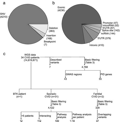Overview Of Analysis Strategy And Distribution Of Variant Type And Download Scientific Diagram