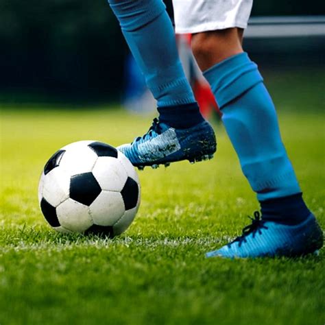 Mini Brazil Of India All You Need To Know About Mini Brazil Of India