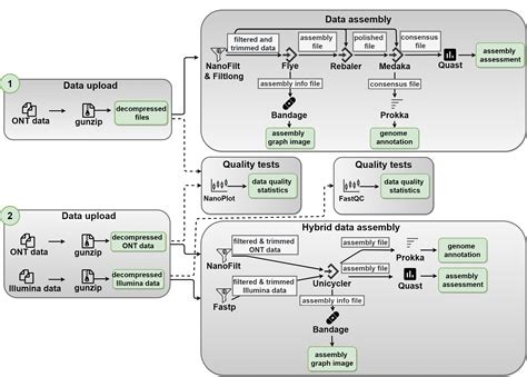 Guidebook For Processing Nanopore Sequencing Data Microbial Systems Biology
