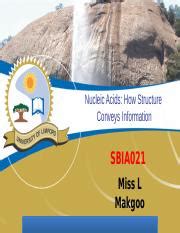 Nucleic Acids Lecture Pptx Nucleic Acids How Structure Conveys Information SBIA Miss L