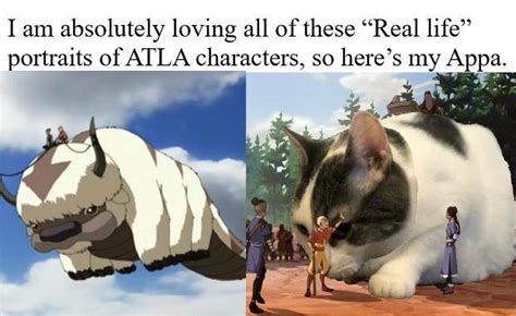 Appa Ate Momo Scrolller