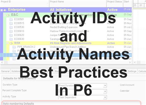 activity ids and activity names best practices in p6 ten six