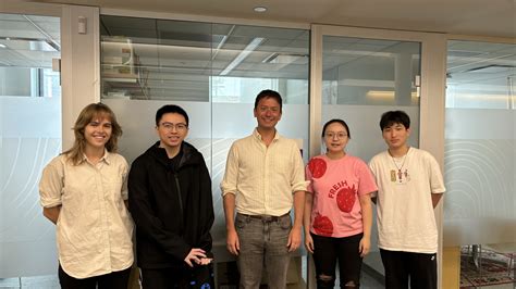 Biostatistical Collaboration And Consultation Core Nyu School Of Global Public Health