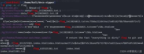 Ctfhub 信息泄露 Svn泄露和hg泄露ctfhubsvn泄露 Csdn博客