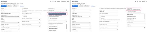 stripe connector for netsuite resolving integration errors