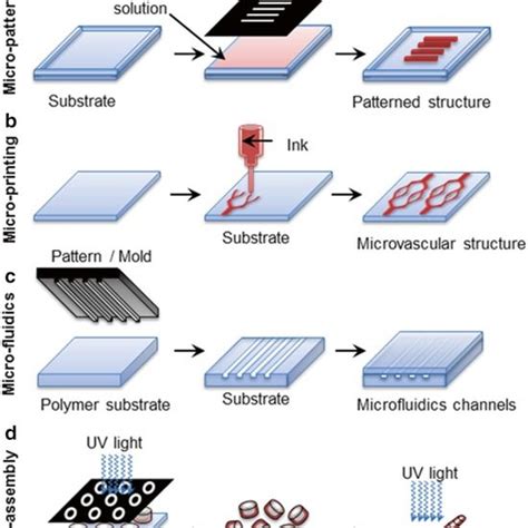 3 Bottom Up Approaches In Vascularized Tissue Engineering A Download Scientific Diagram