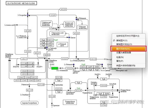 KEGG Pathway数据库在网络药理学研究中的应用 知乎