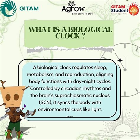 Agrow Agrow Vskp • Instagram Photos And Videos