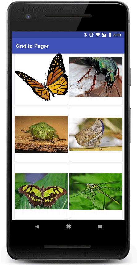 Continuous Shared Element Transitions Recyclerview To Viewpager