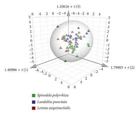 Three Dimensional Score Plot Of Orthogonal Partial Least Download Scientific Diagram
