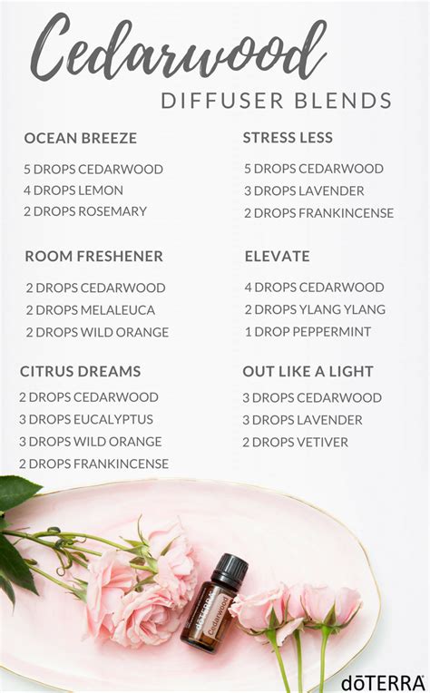 Valentijn Diffuser Blends Artofit