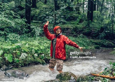 Dancing Leaf Photos And Premium High Res Pictures Getty Images