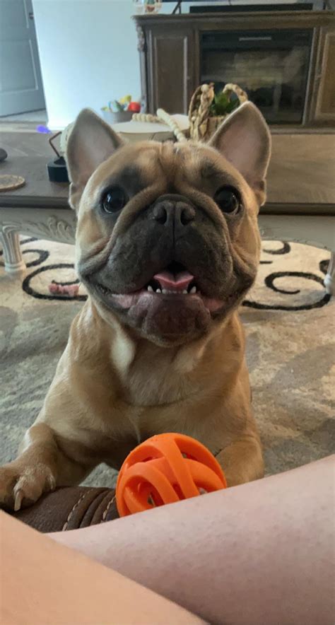 Overview For Alex Plus Love