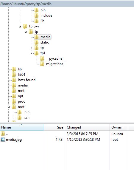 Python Nginx Not Serving Django Image Stack Overflow