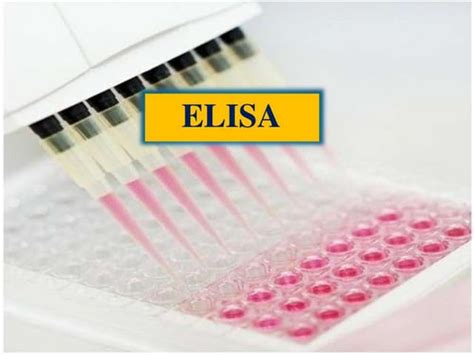 Elisa Enzyme Linked Immunosorbent Assay Pptx