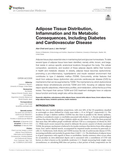 PDF Adipose Tissue Distribution Inflammation And Its Metabolic Consequences Including