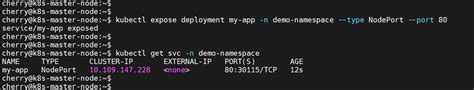 how to install kubernetes on ubuntu 24 04 step by step cherry servers