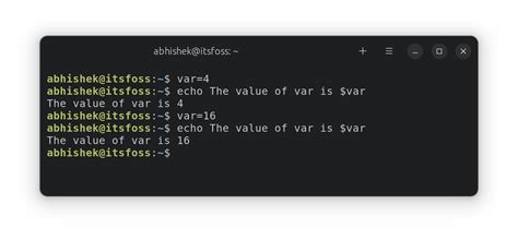Bash 基础知识系列 2：在 Bash 中使用变量 Linux 中国 知乎