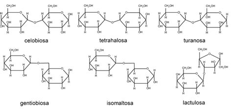 30 Examples Of Monosaccharides Disaccharides And Polysaccharides Examples Lab