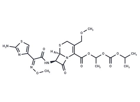 Cefpodoxime Proxetil Antibiotic Antibacterial Targetmol