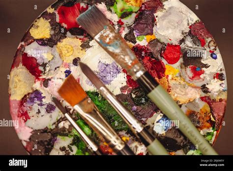Paint Brushes Different Sizes At Lucy Sutcliffe Blog
