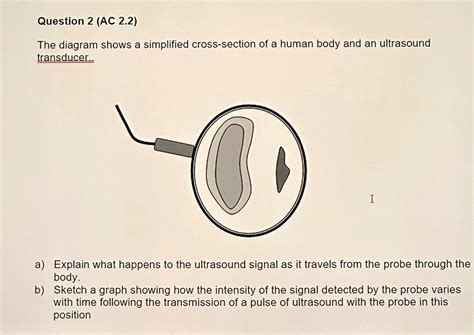 Question 2 Ac 2 2 The Diagram Shows A Simplified Cross Section Of A Human Body And An