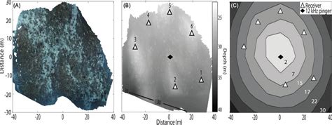 Color Online The Array Habitat Image A Geometry B And Download Scientific Diagram