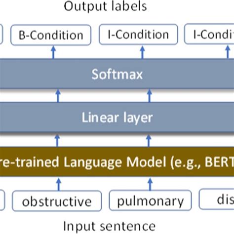 Architecture Of The Ner Task Using Pre Trained Transformer Models