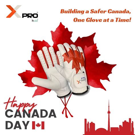 pranshu patel on linkedin today we celebrate the unity and strength