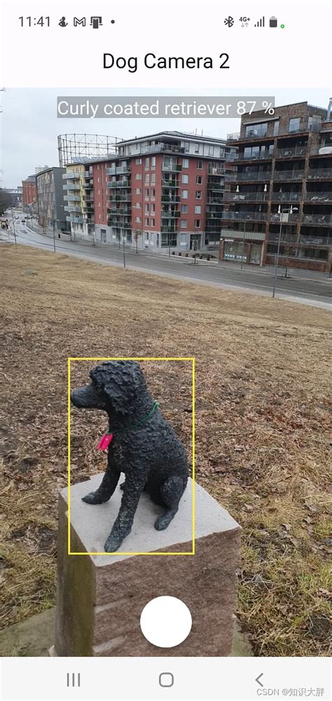 Flutter、camerax 和 Mediapipe 为 Android 构建实时图像分类应用程序教程含源码mediapipe 图像