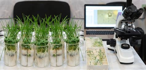 Expanding Agricultural Genomics Solis Adds Ferris Bioinformatics