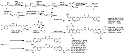 Molecules Free Full Text Synthesis And Biological Evaluation Of Novel Curcuminoid Derivatives