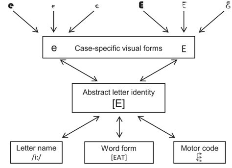 Nirmal Patel On Linkedin Learning Science Reading Letters Alphabet Neuroscience Neuro…