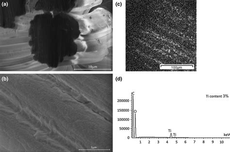 SEM Images Of TiO2 Coatings A B On Viscose After MW Treatment At Download Scientific Diagram