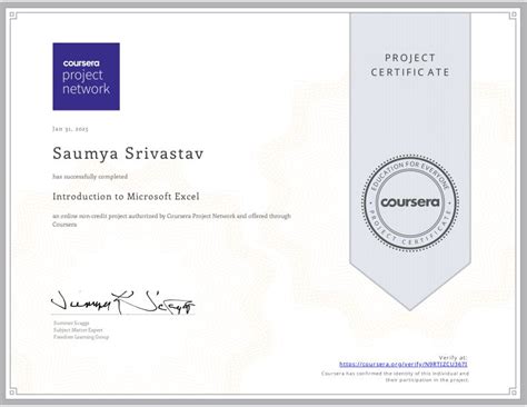 Excel Dataanalytics Coursera Learning Saumya Srivastav