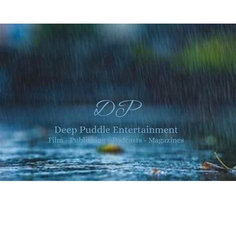 Deep Puddle Entertainment New York Ny
