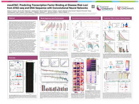 pdf maxatac predicting transcription factor binding at disease risk