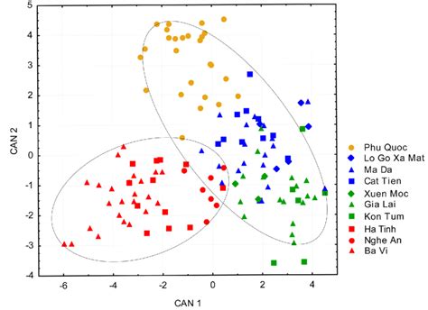 Grouped Morphometric Separation Canonical Discriminant Analysis Drawn