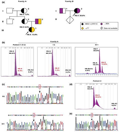 Phenotypic And Genotypic Analysis In Two Patients And Their Families Download Scientific